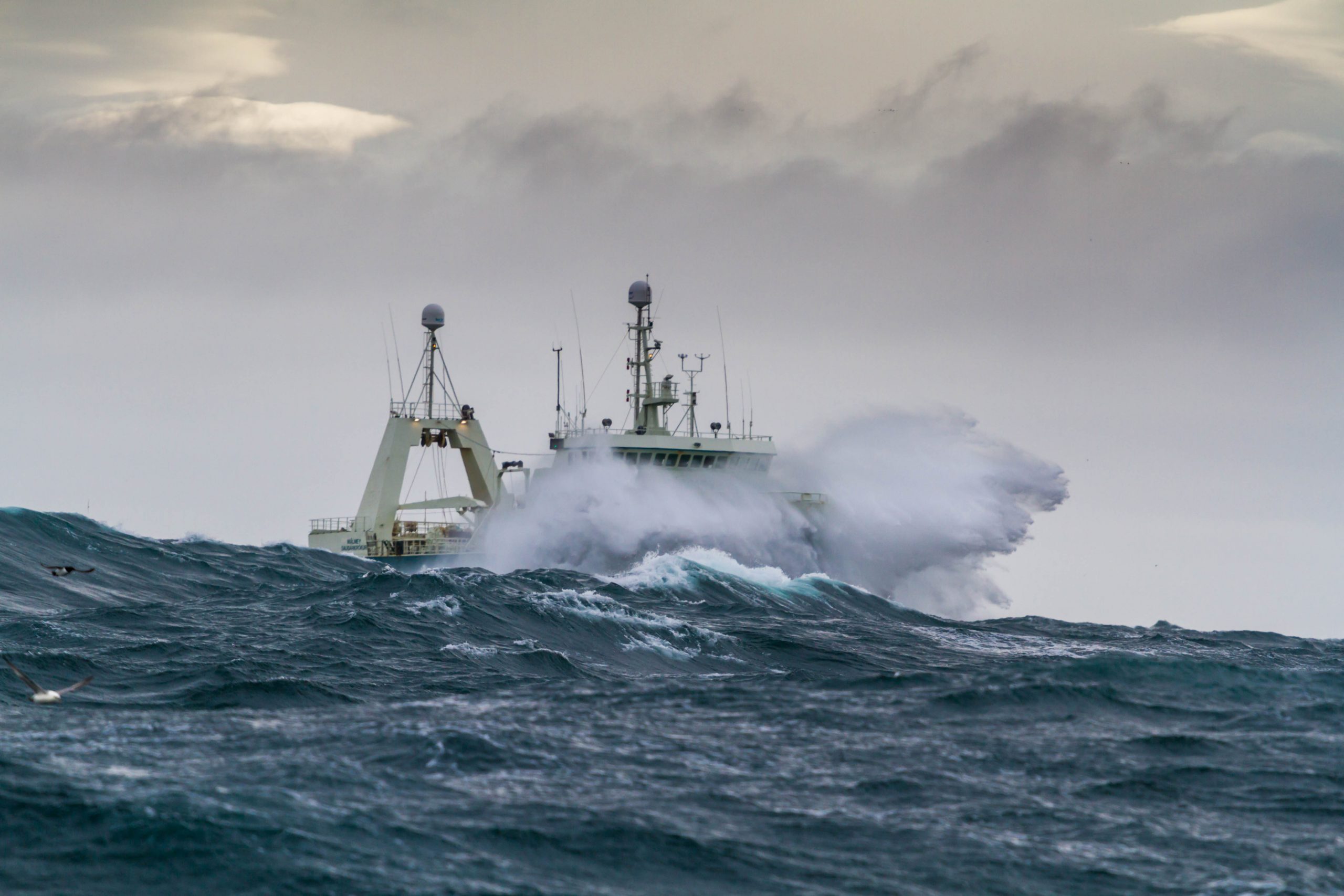 Ottar Brox: – Gi fiskeressursene tilbake til kystbefolkningen, og fyll ...